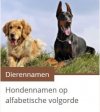Slakken zijn gevaarlijk voor honden - Hondenrassen